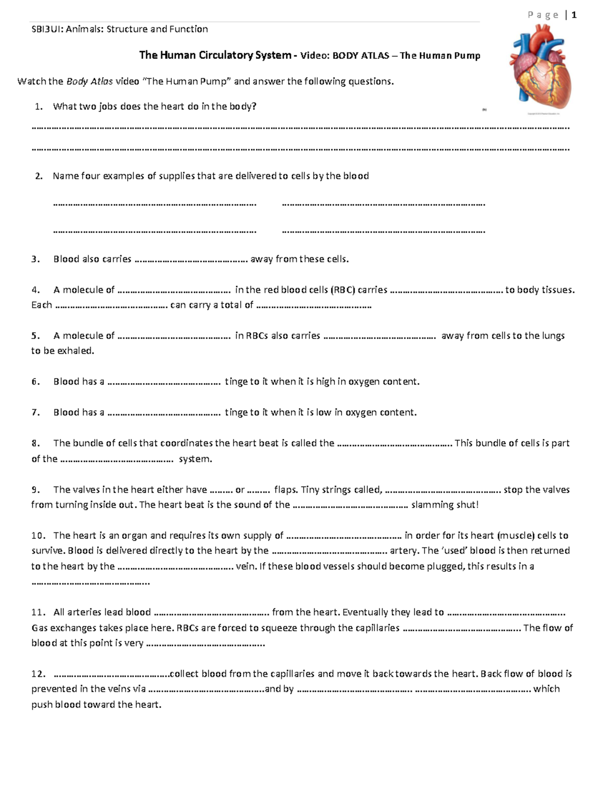 SBI3UI: Circulatory System Overview - Course Notes Q1 2020 - Studocu