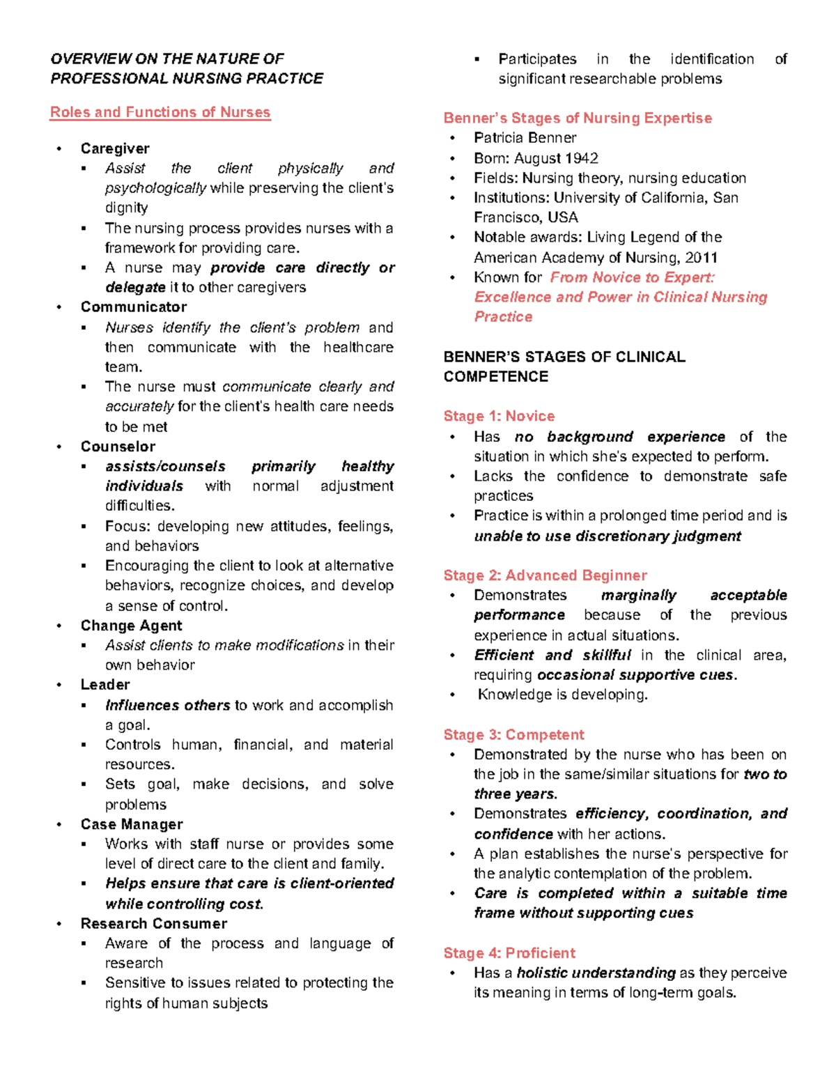 Overview ON THE Nature OF Professional Nursing Practice - OVERVIEW ON ...