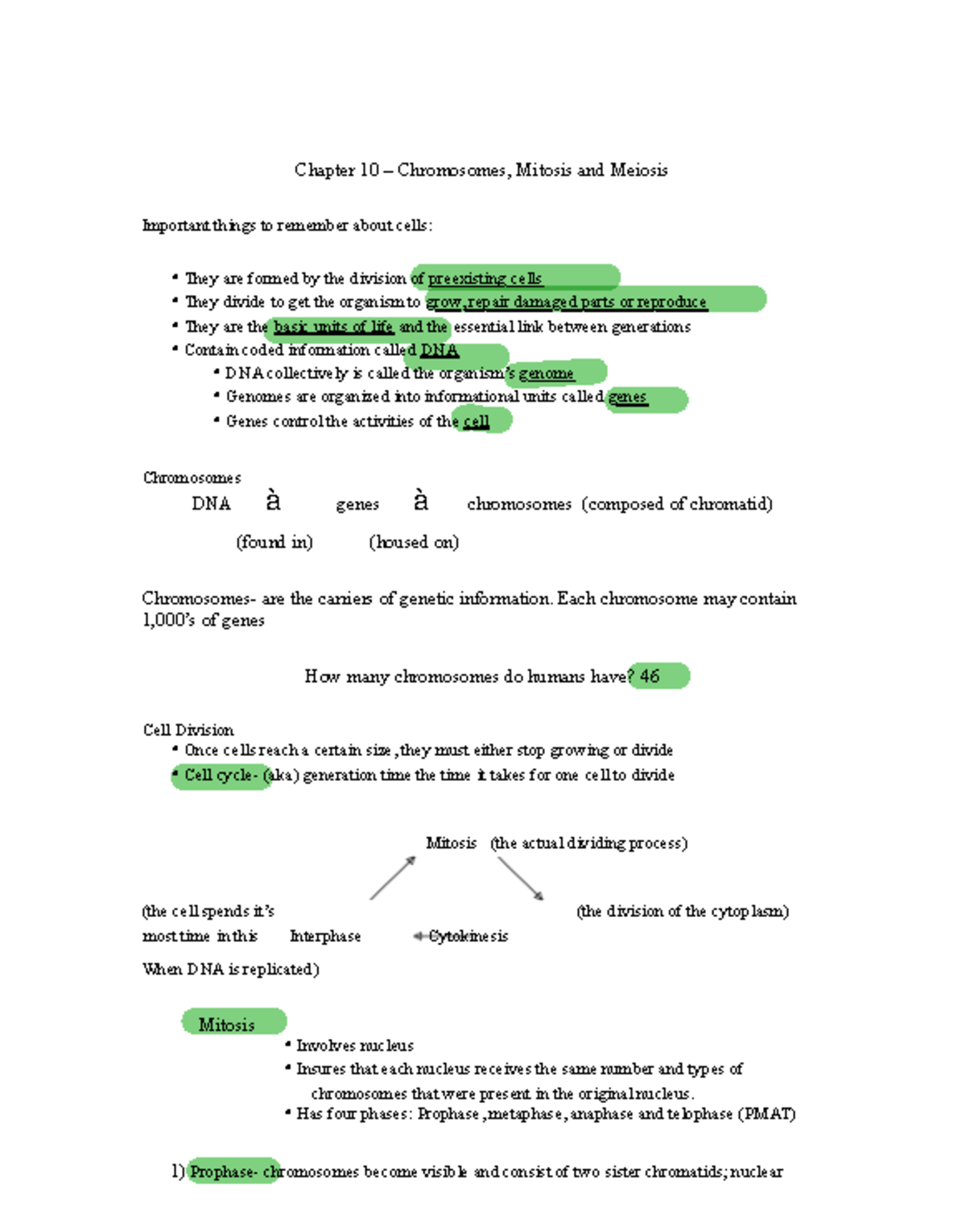 CH 10 Study Guide: Chromosomes, Mitosis, and Meiosis Overview - Studocu
