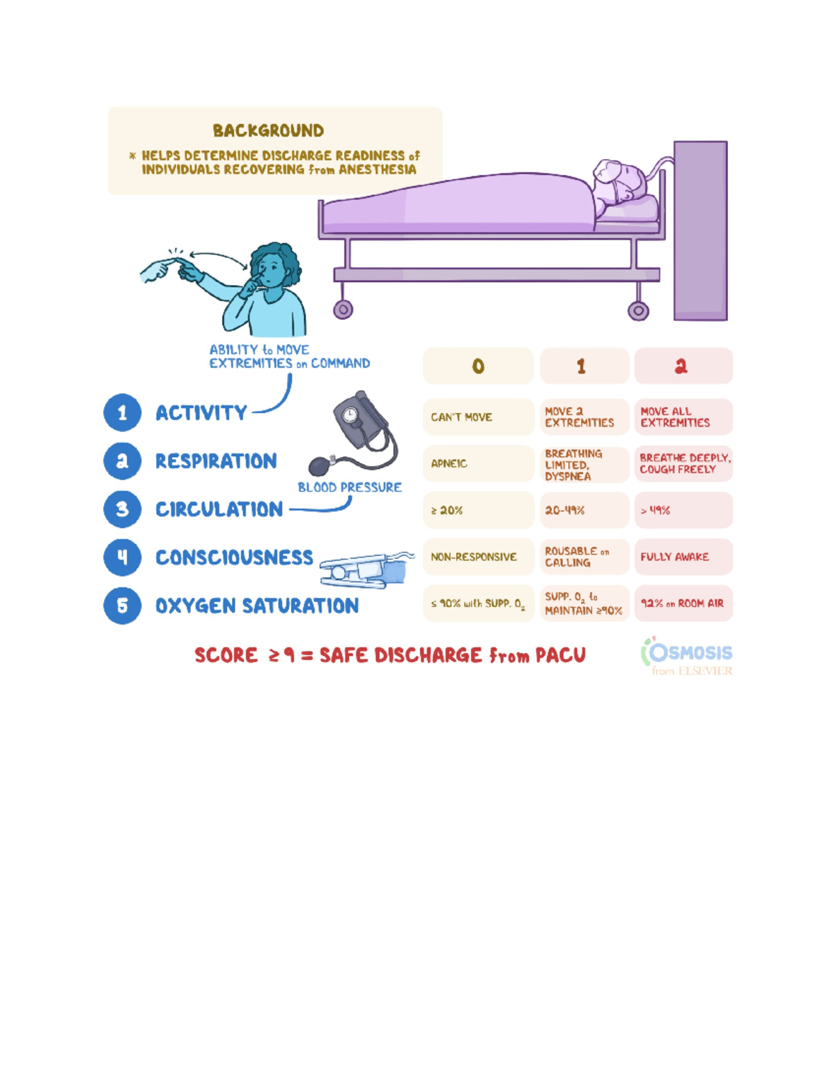 Aldrete Scoring Tool: Assessing Discharge Readiness Post-Anesthesia ...