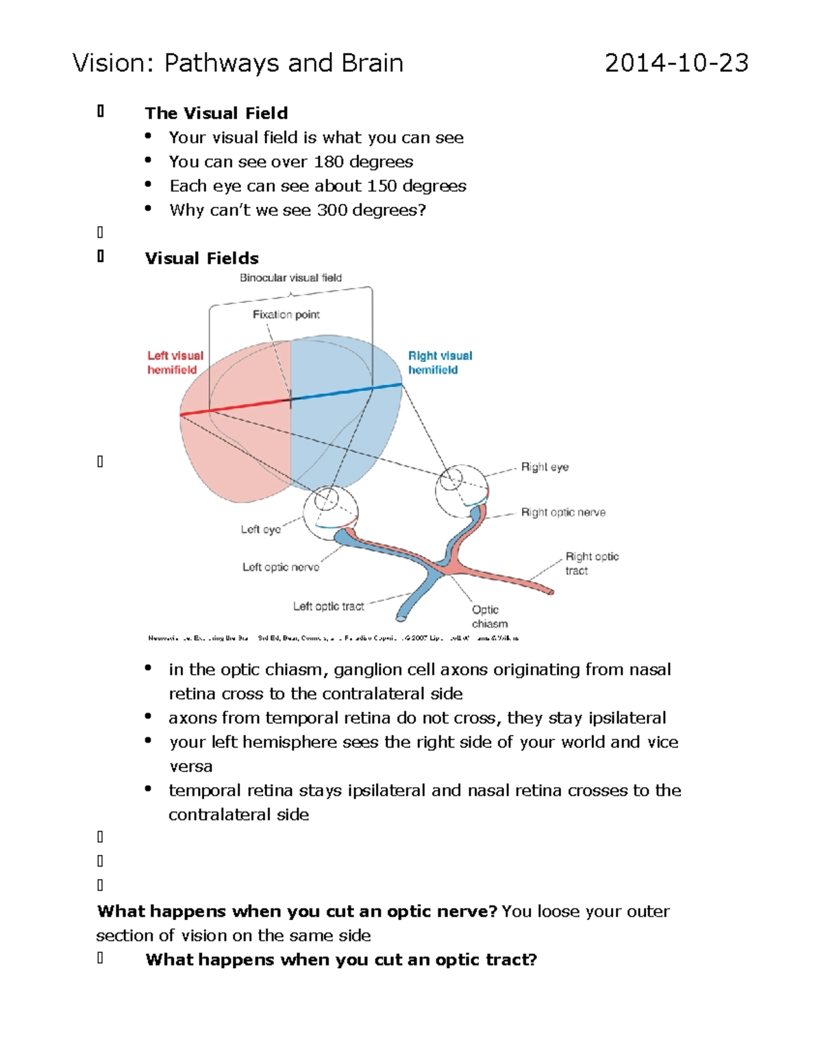 Vision: Pathways and Brain - Understanding Visual Fields and Cortex ...