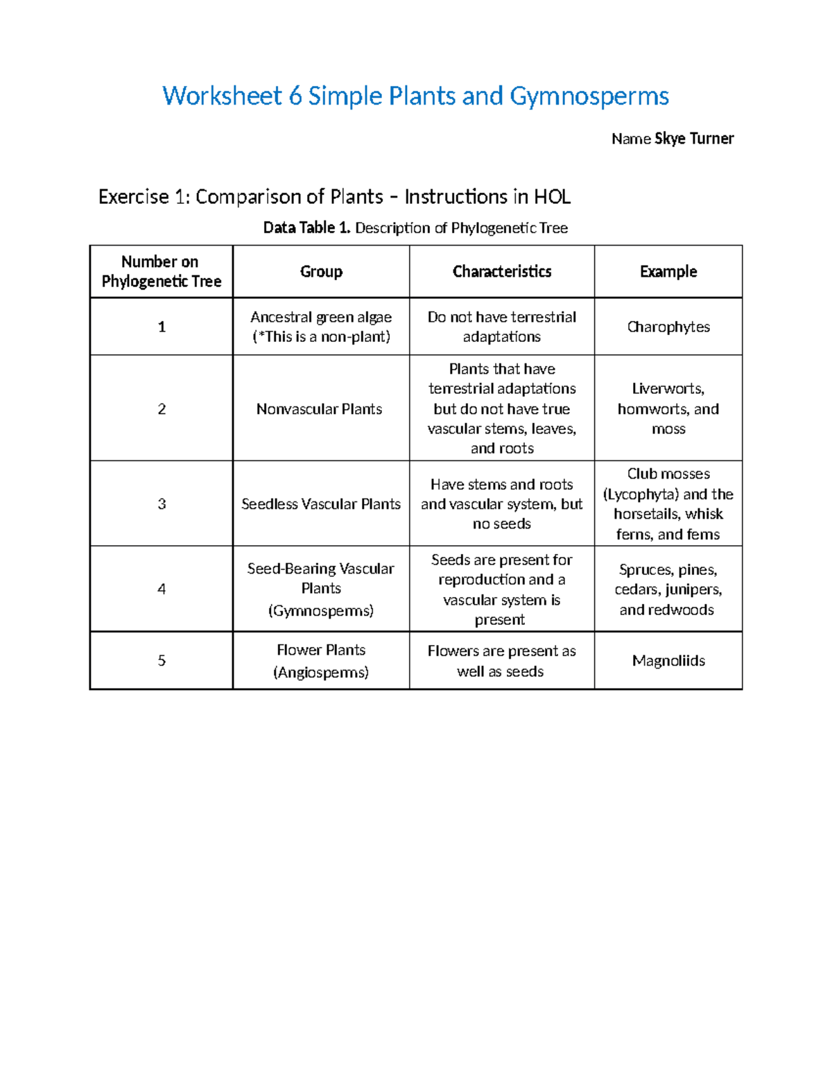 Worksheet 6: Simple Plants & Gymnosperms Analysis - Studocu