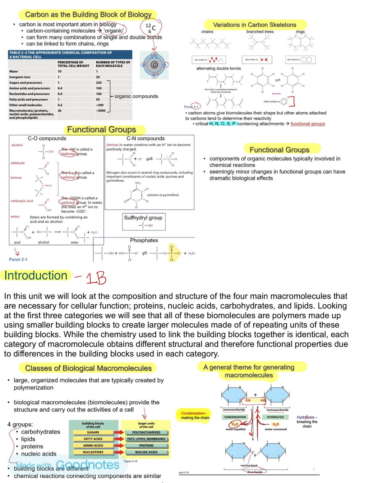 Biology 130 and 239-10 - Notes - Carbon as the Building Block of ...
