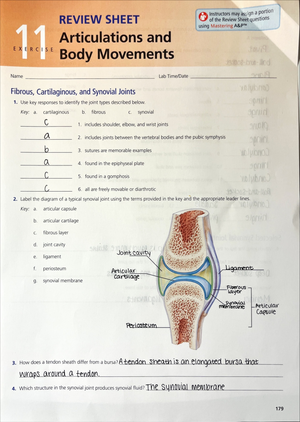 Lab Exercise 9 Review Sheet - 9 R E V I E W S H E E T E X E R C I S E ...