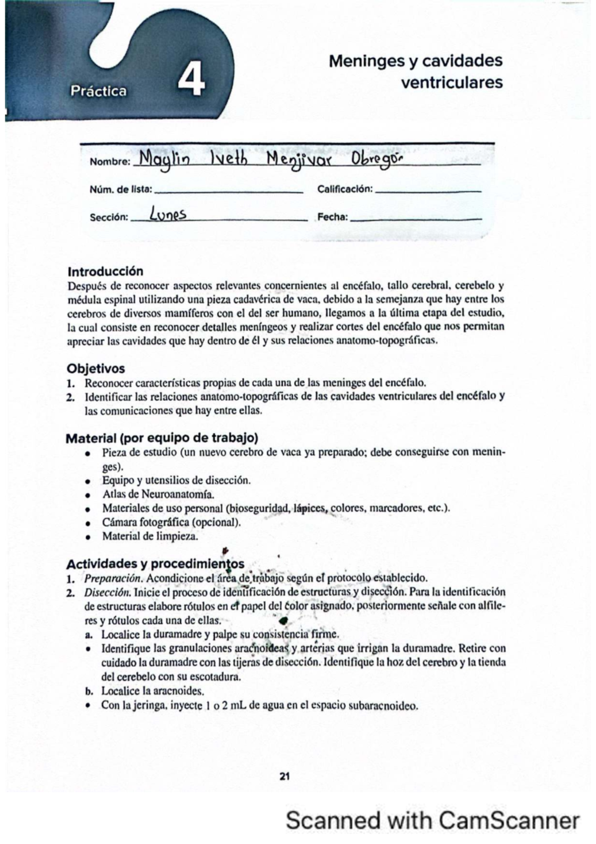 Práctica de Neuroanatomía: Meninges y Cavidades Ventriculares - Studocu