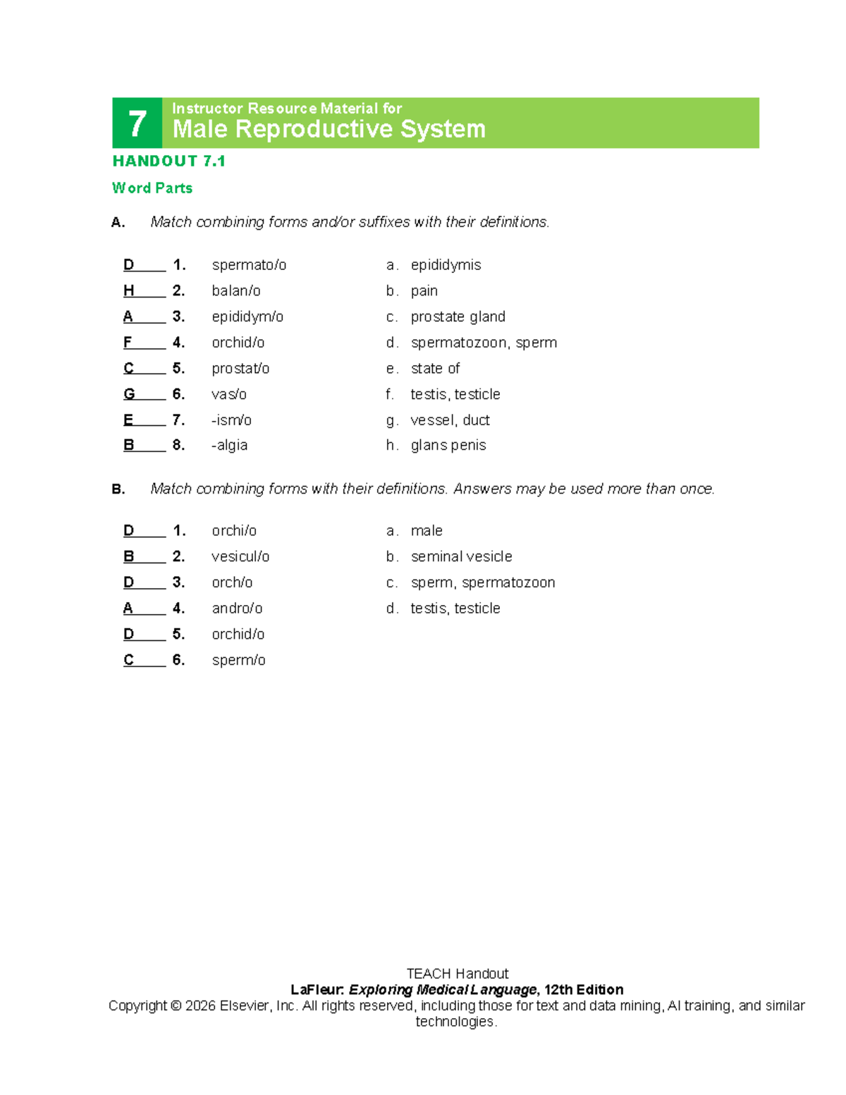 Chapter 7: Male Reproductive System Study Guide and Handouts - Studocu
