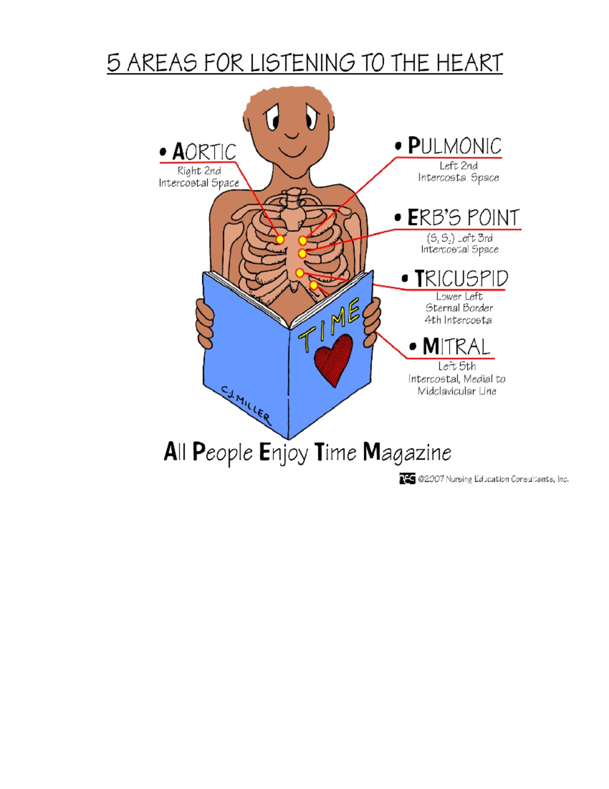 Heart Sound Locations: Key Areas for Cardiac Auscultation - Studocu