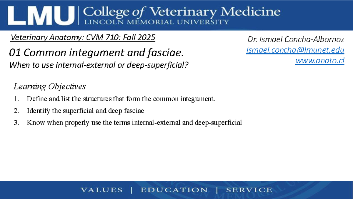 Common Integument and Fasciae Overview: CVM 710 Fall 2025 Lecture - Studocu