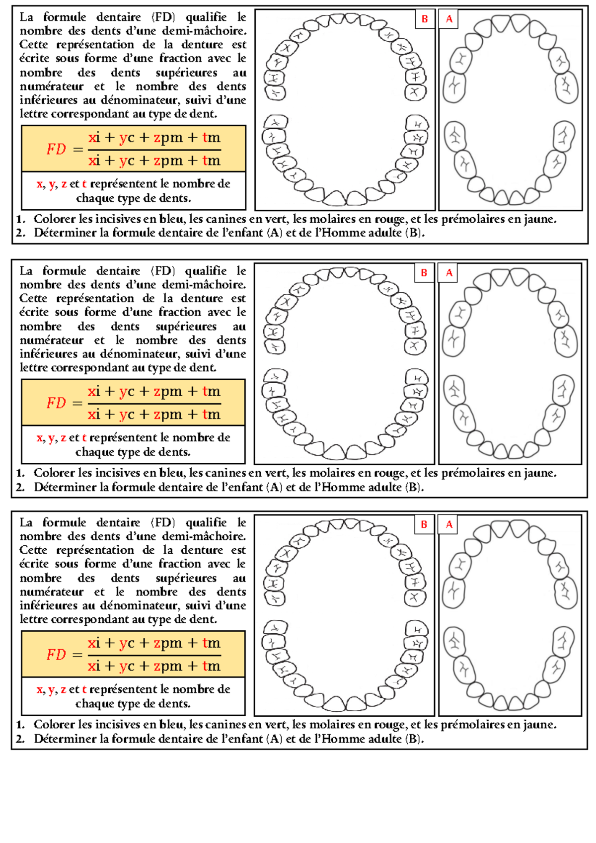 Formule Dentaire et Régimes Alimentaires - Examen Final 2023 - Studocu