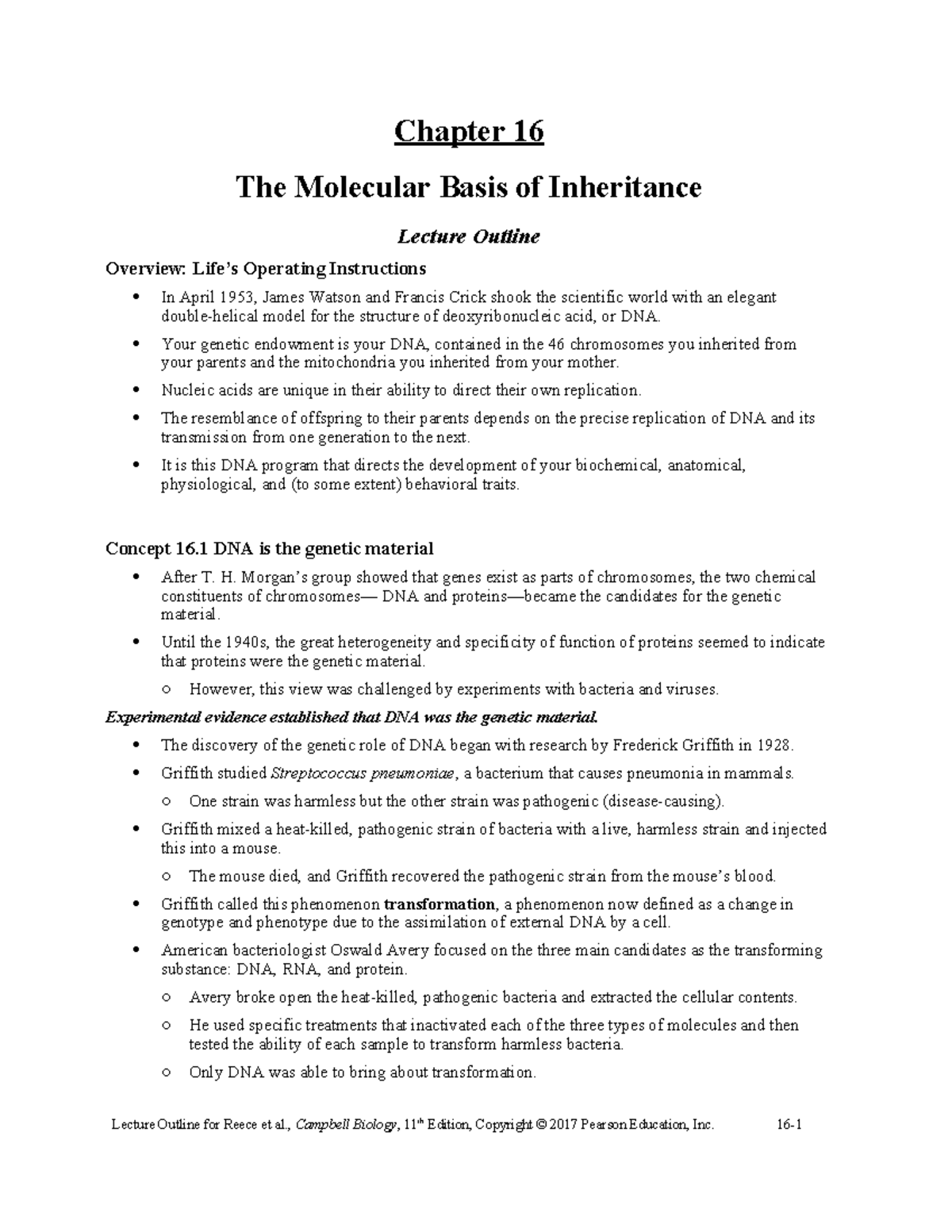 Ch 16 - Molecular Basis of Inheritance Lecture Notes - Studocu