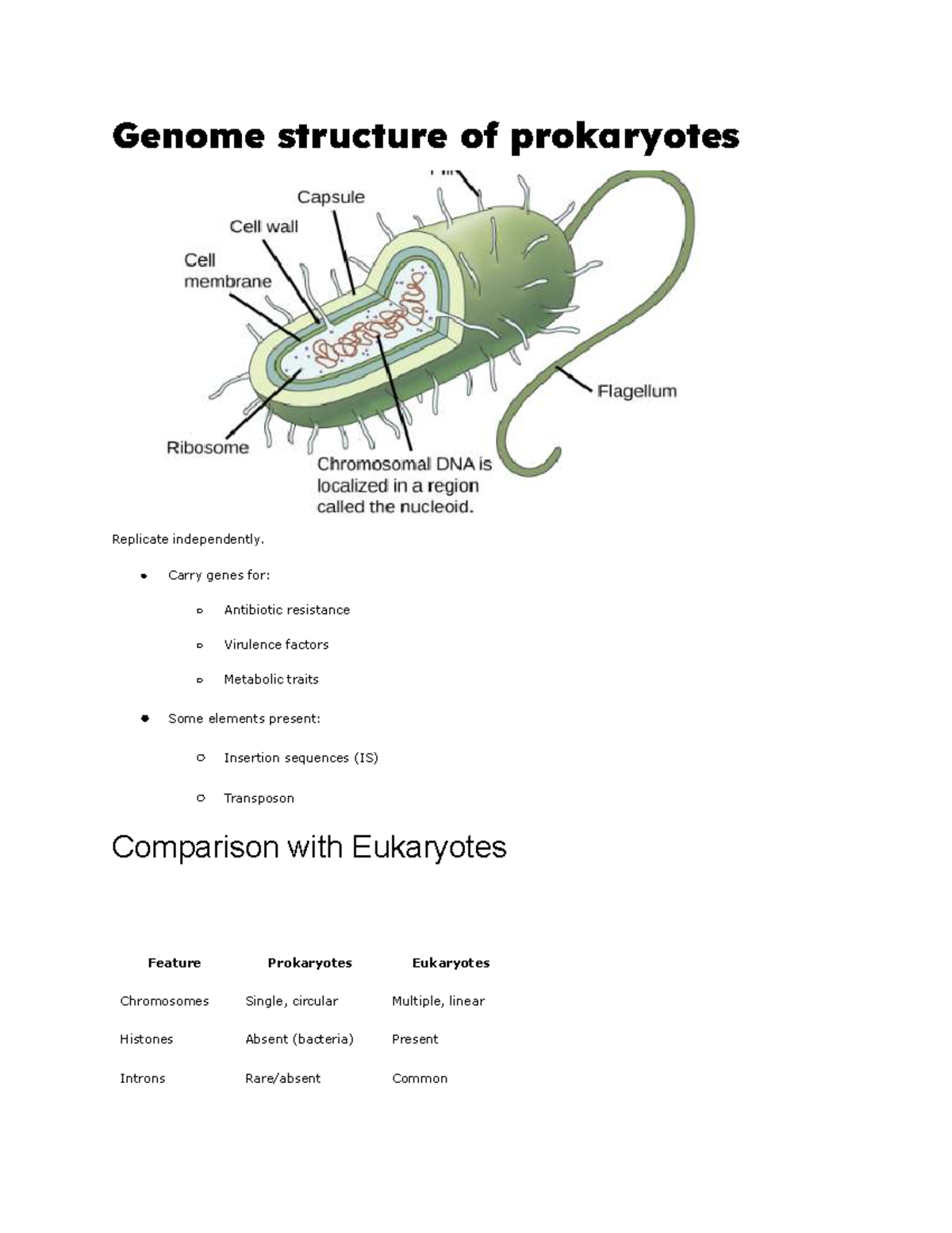 Genome Structure of Prokaryotes: Key Features and Comparisons - Studocu