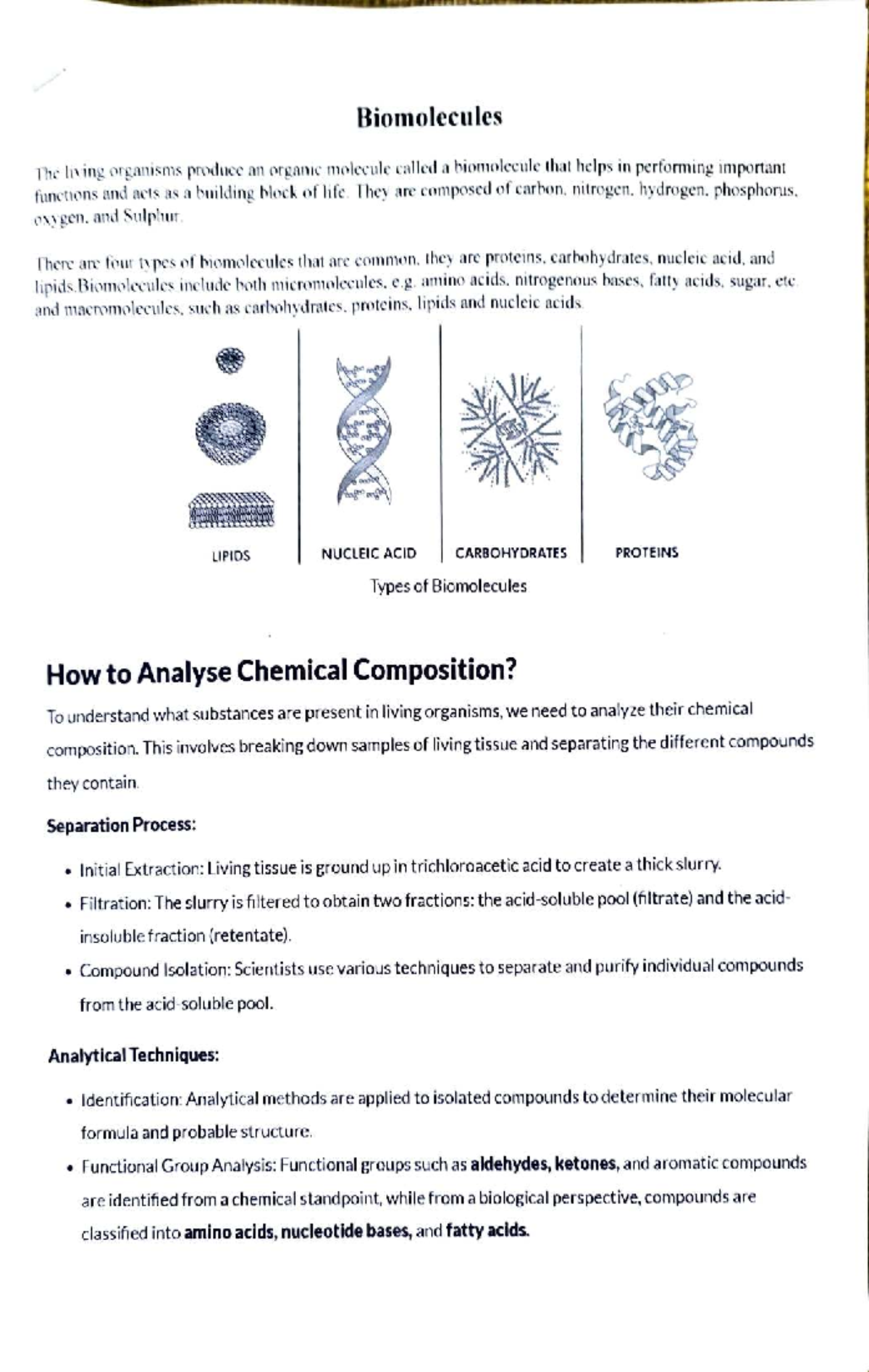Biomolecules Overview: Types, Functions, and Analysis (Eee) - Studocu