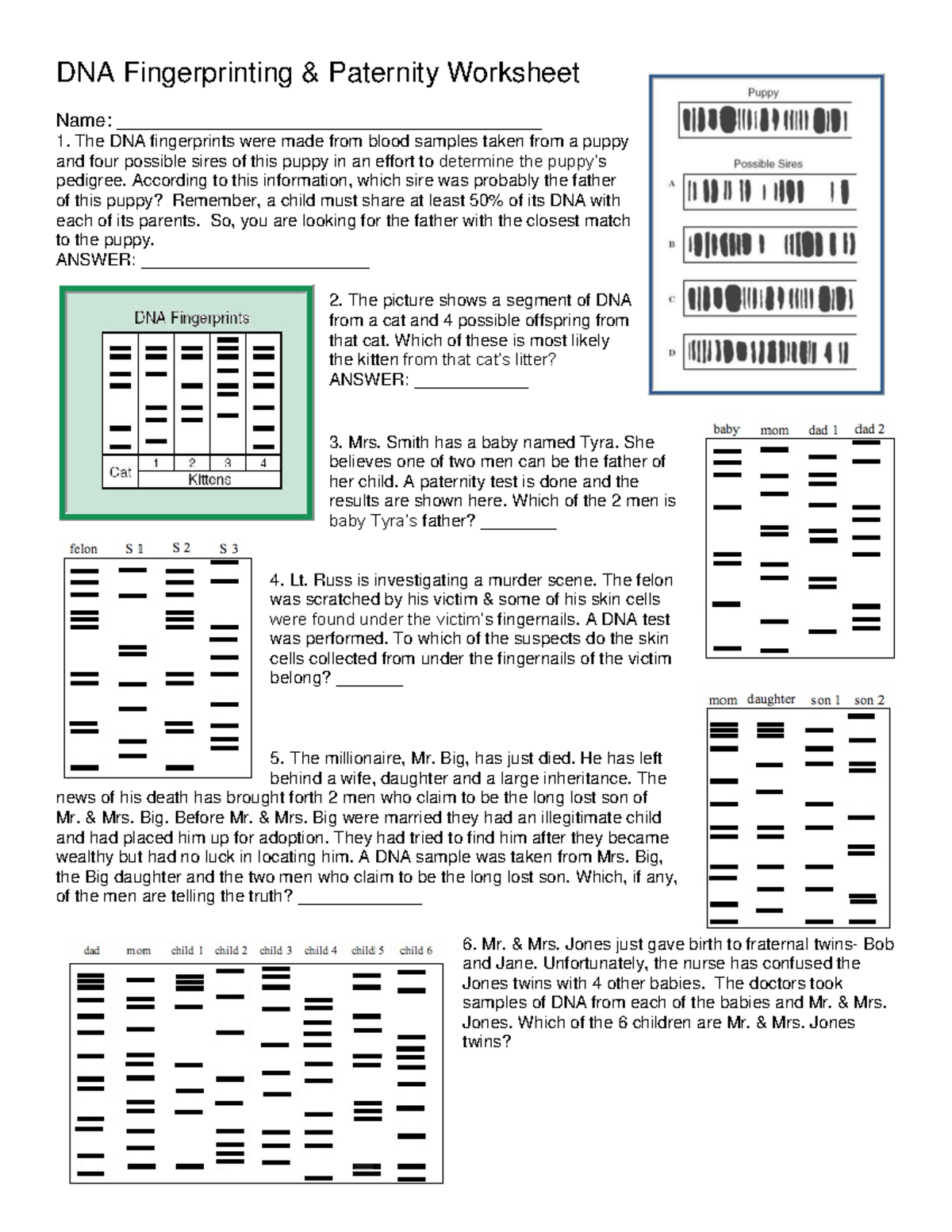 Forensics-Day 2-Hovanec - DNA Fingerprinting & Paternity Worksheet Name ...