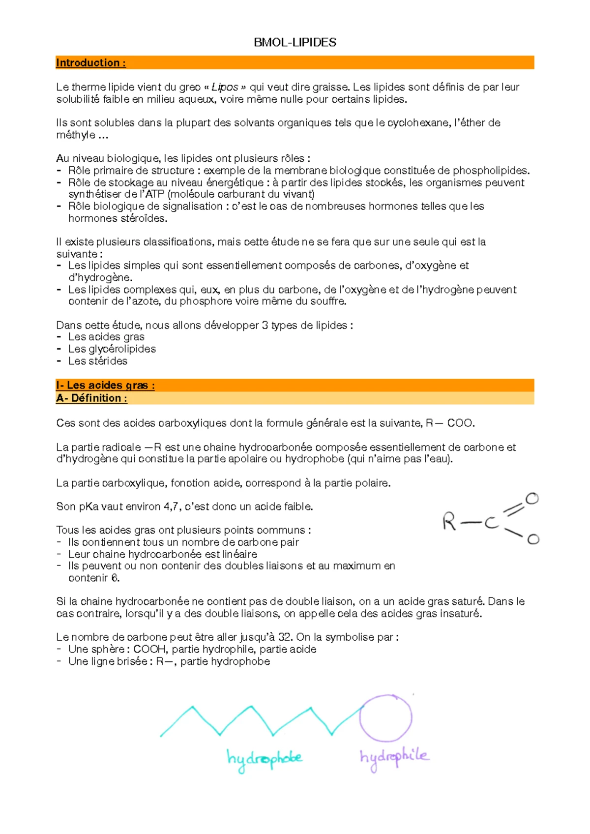 TD Glucides - Exercices et Formules des Oligosaccharides (BMOL) - Studocu