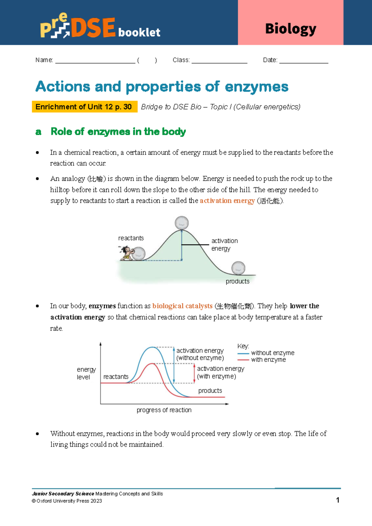 Biology Bio03 E: Understanding Enzymes and Their Actions - Studocu