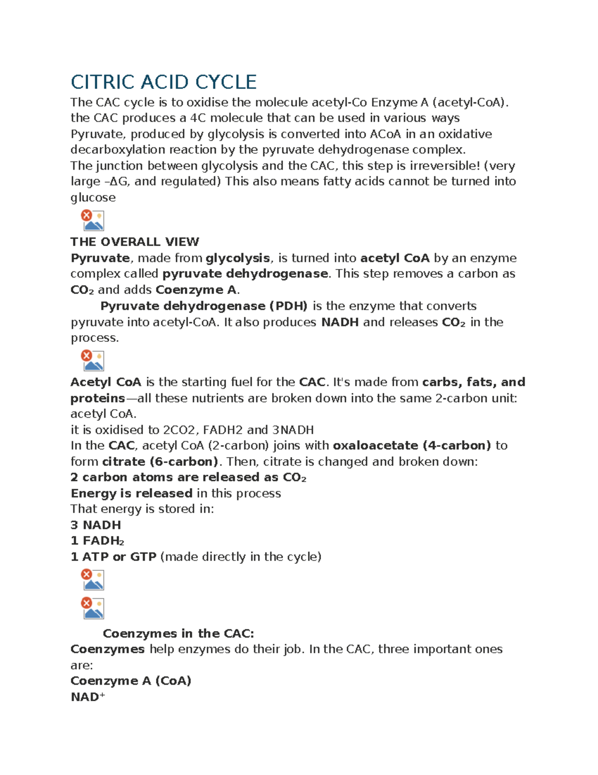CIT 101: Overview of the Citric Acid Cycle and Its Regulation - Studocu