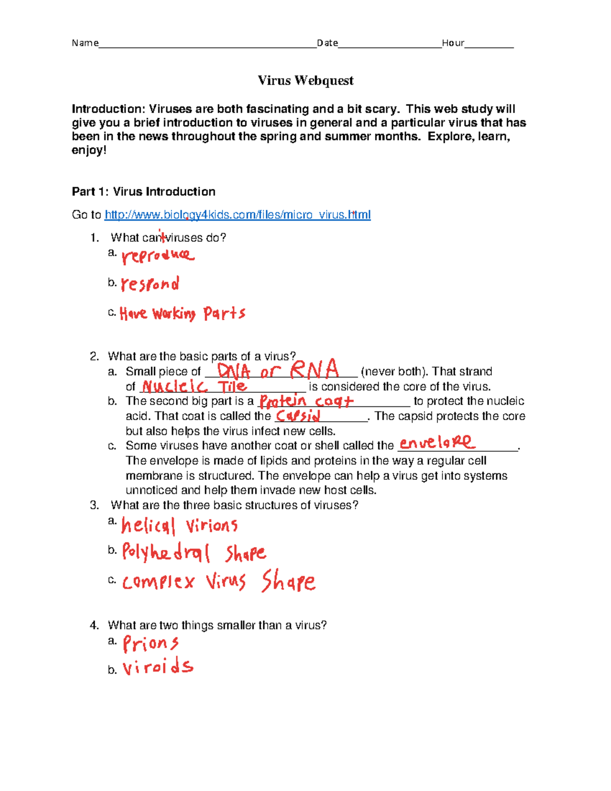 Virus Webquest - Exploring Viruses with JOHN Riley - BIO101 - Studocu