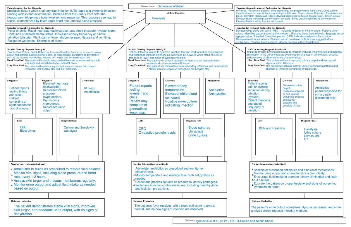Urosepsis Concept Map: Medical Diagnosis & Nursing Interventions - Studocu