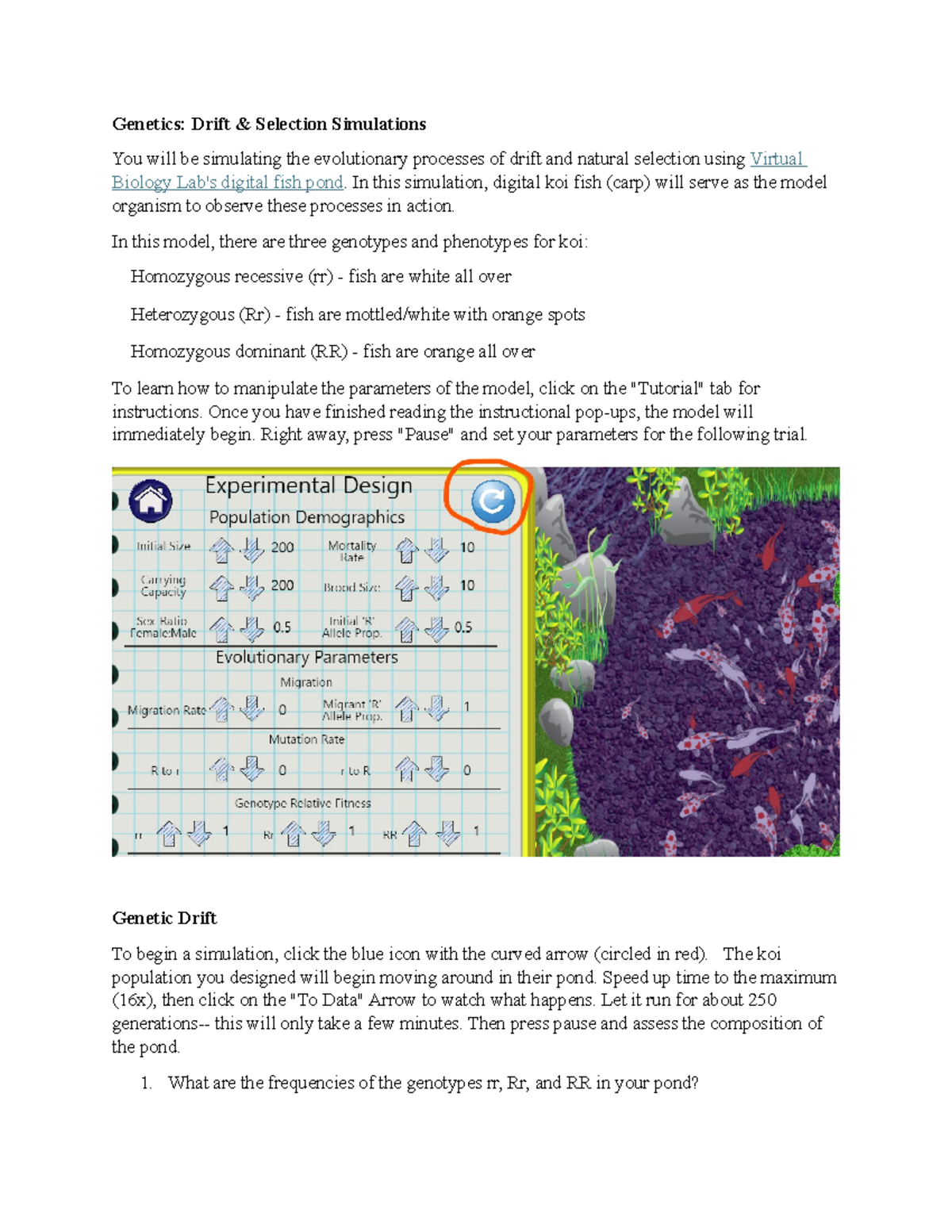 Genetics: Drift & Selection Simulations (BIO 101) - Studocu