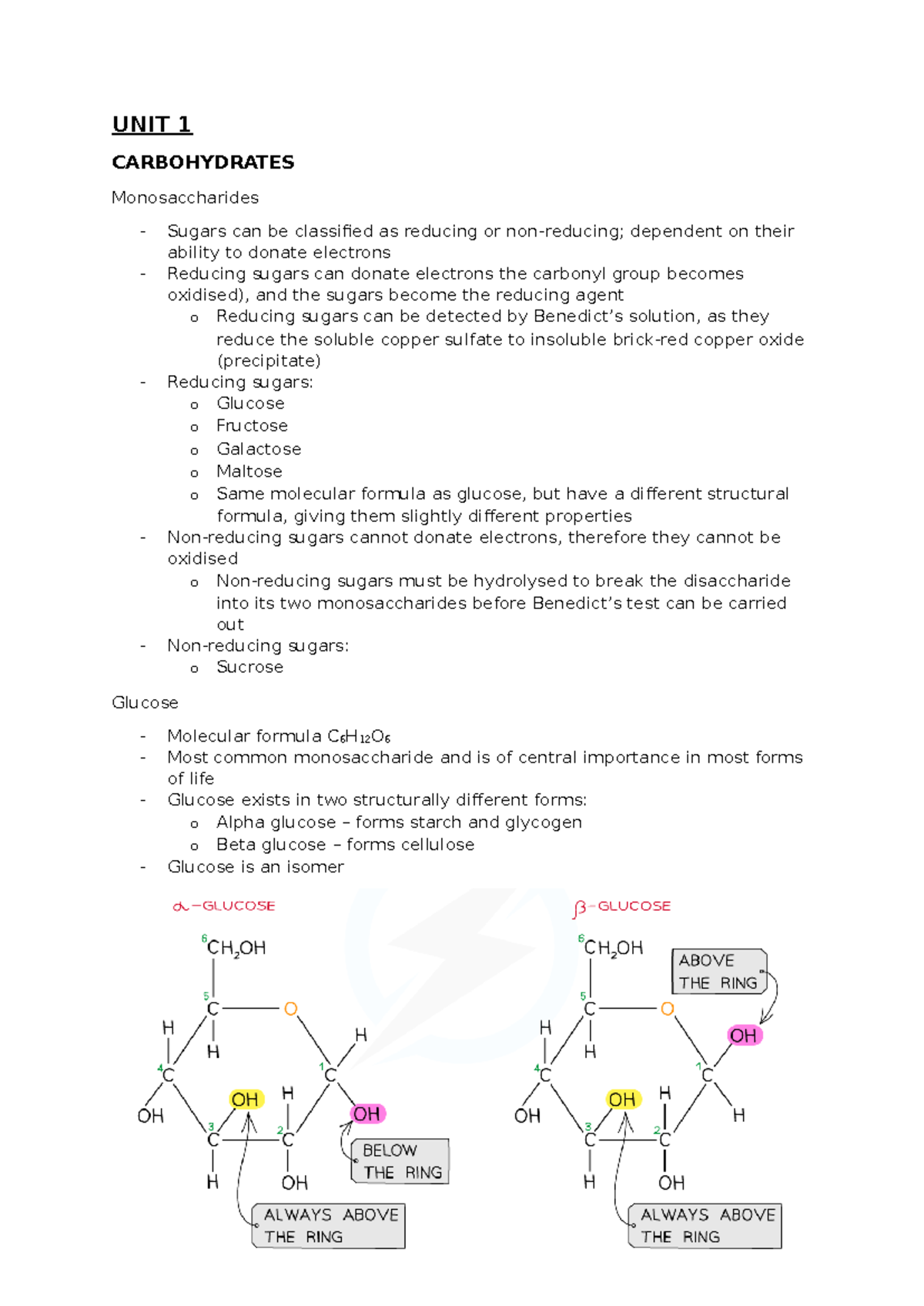 Biology unit 1 notes: carbohydrates, lipids, proteins, and nucleic ...