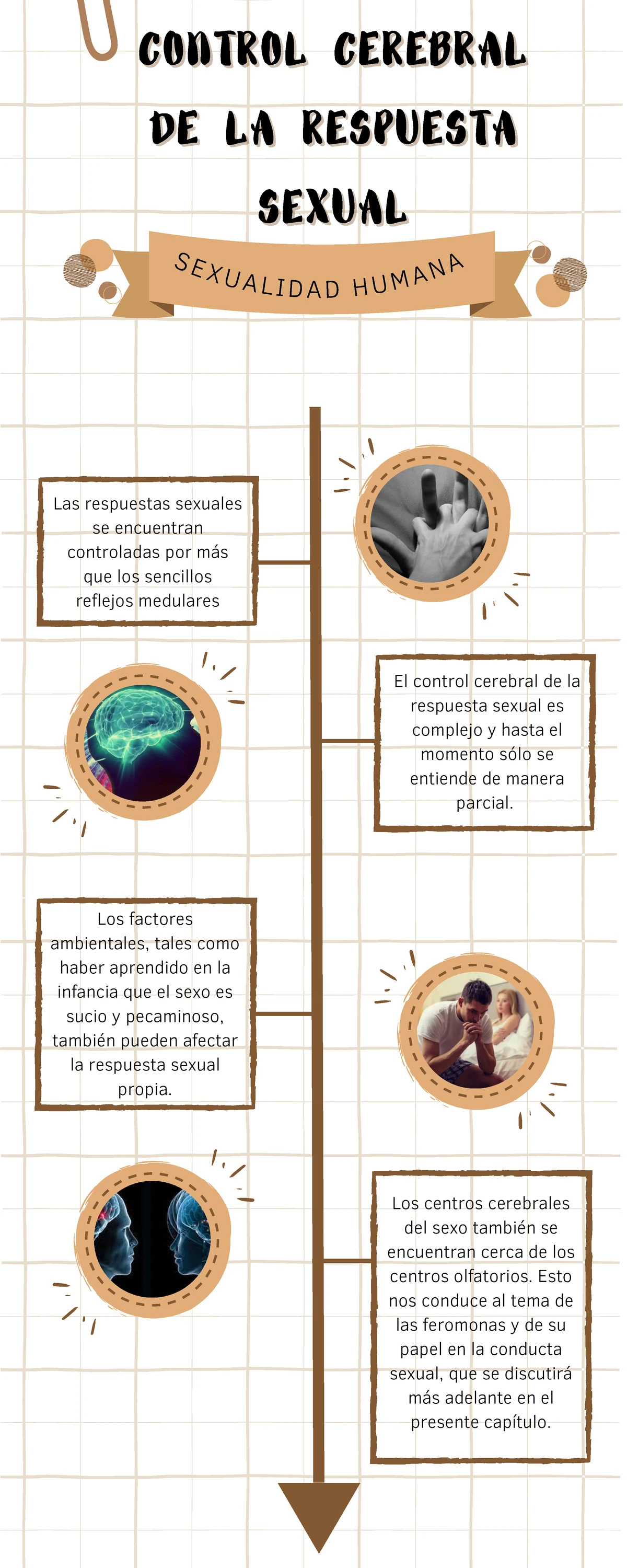 Cuadro Sinóptico: Desarrollo Sexual y Sexualidad en Psicología ...