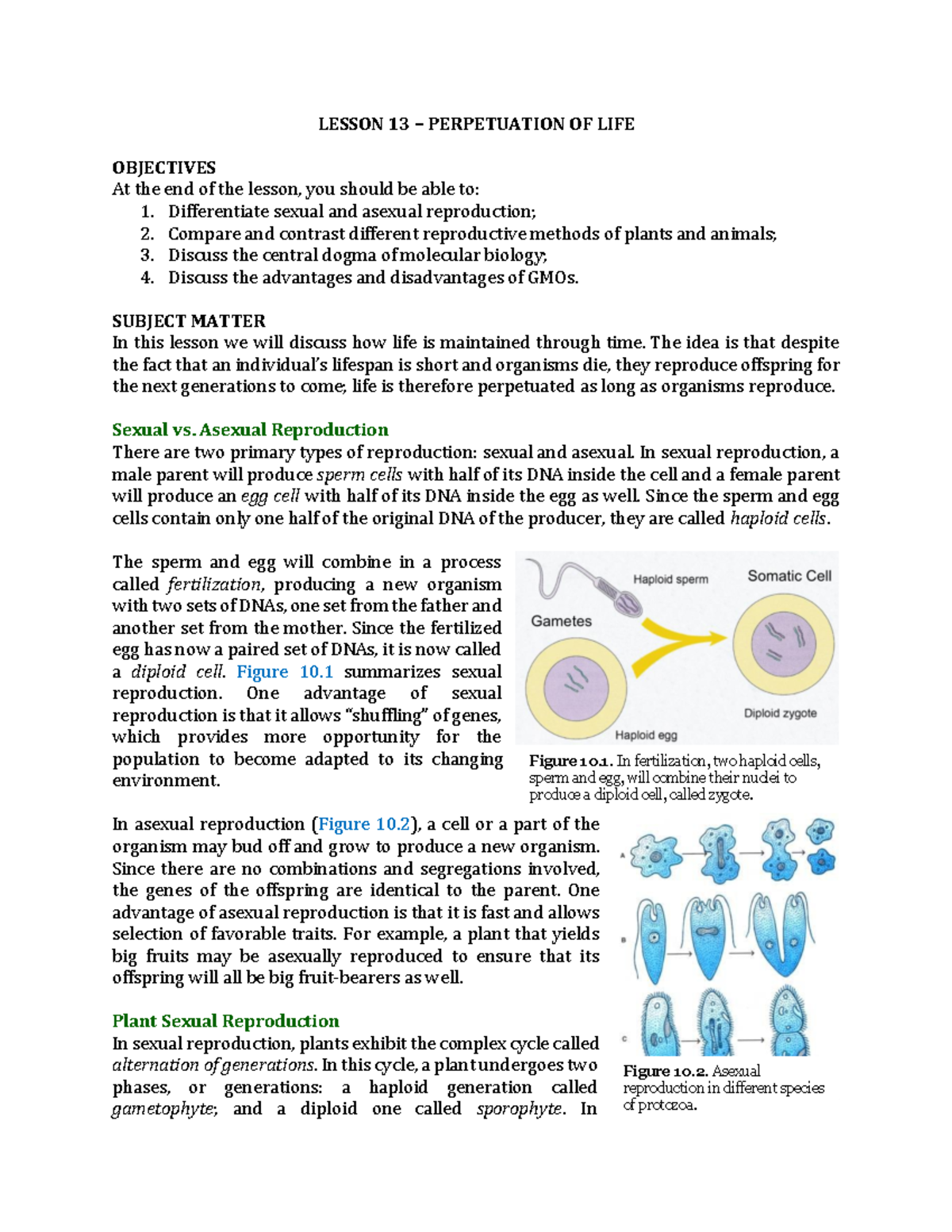 Lesson 13: Perpetuation of Life and Reproductive Methods - Studocu