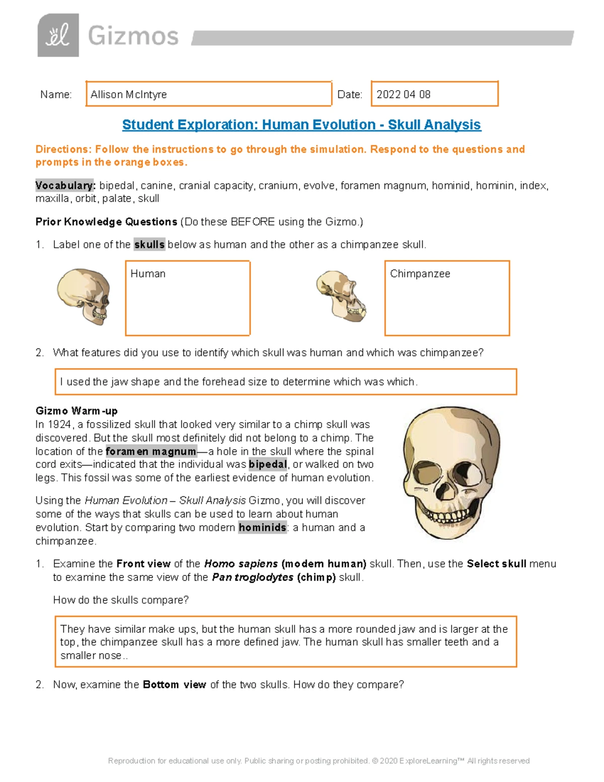 Igcsebio WB Ans - Answer Key for Cambridge IGCSE Biology Workbook - Studocu