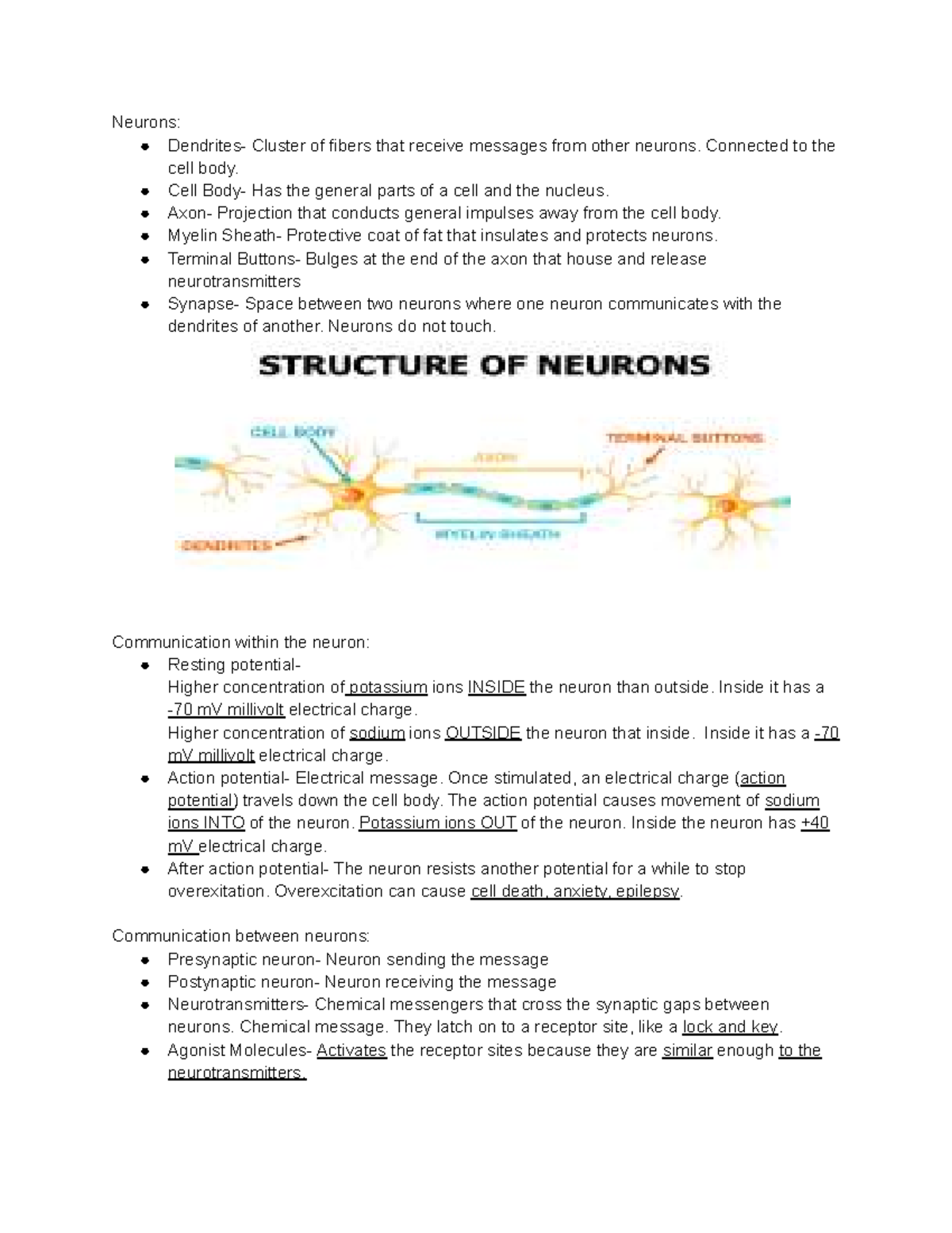 PSY 200 Sensation and Perception Study Notes: Neurons and Communication ...