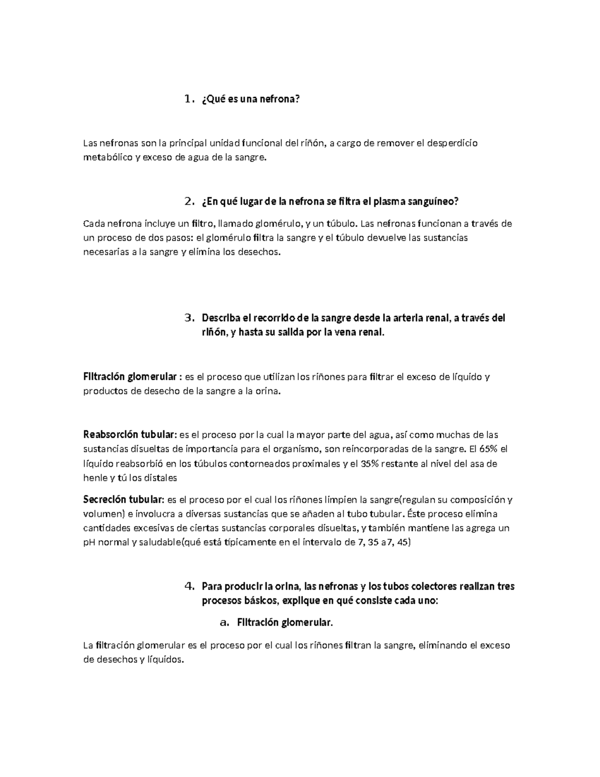 Morfo 1 - ...... - ¿Qué es una nefrona? Las nefronas son la principal ...