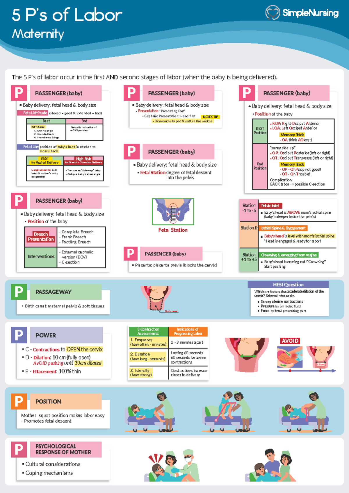 5 Ps of Labor: Maternal Insights for Delivery Process - Studocu