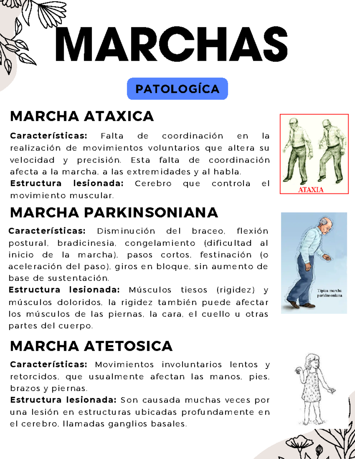 Marcha Atáxica