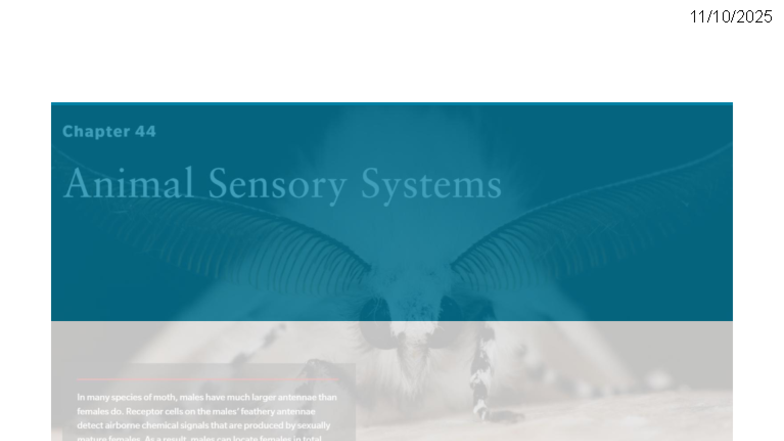 FA25 1110 Chapter 44: Animal Sensory Systems Overview - Studocu