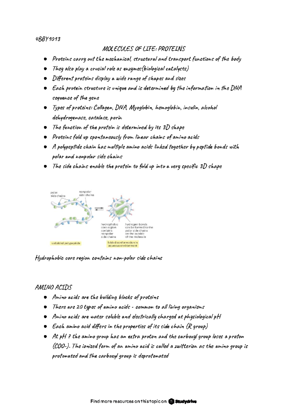4BBY1013 Biochemistry Lecture 2: Proteins and Amino Acids Overview ...