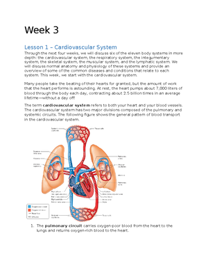 Lecture 4 Medical office notes - Week 4 AHLT Lesson #1 – Types of ...