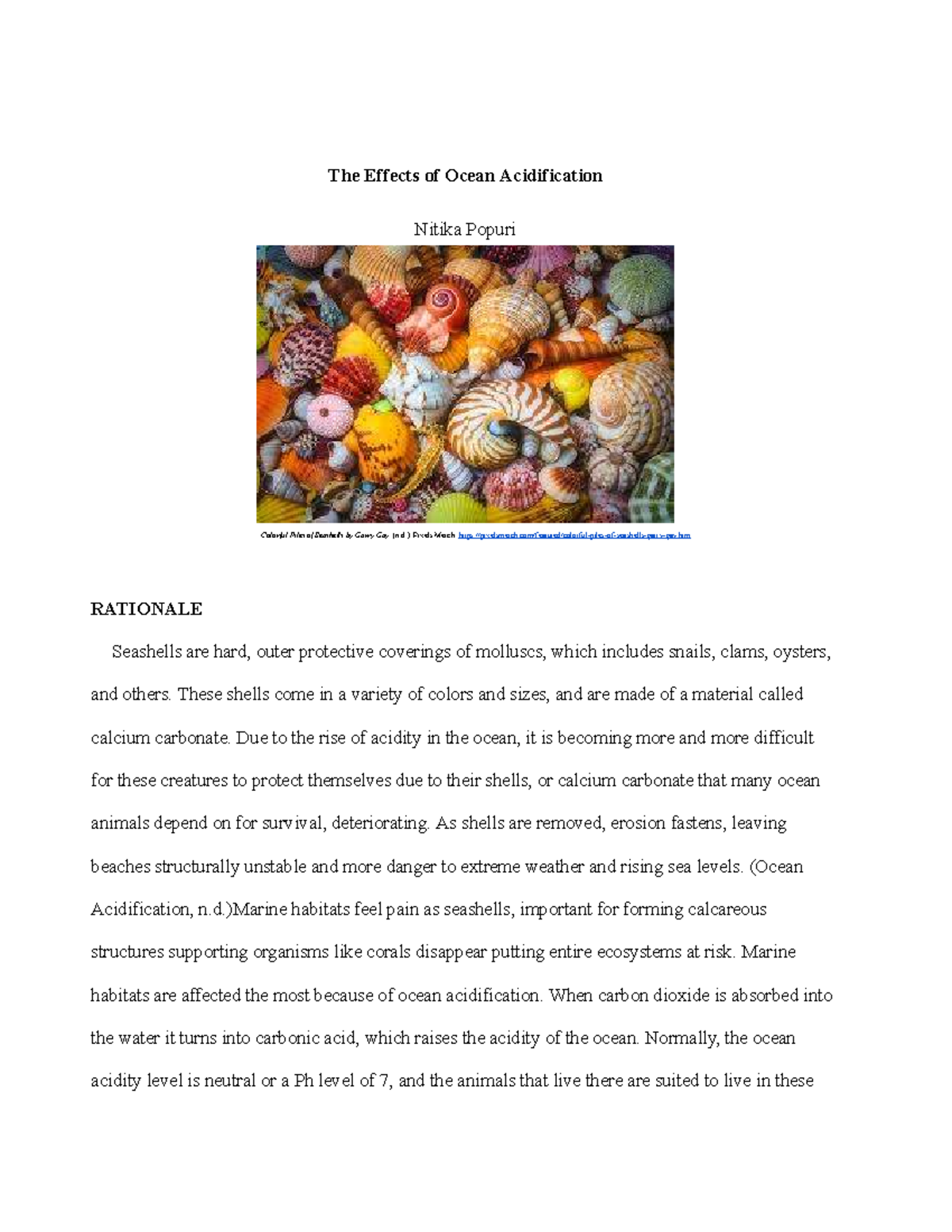 The Effects of Ocean Acidification on Seashells: A Study (SCI 101 ...