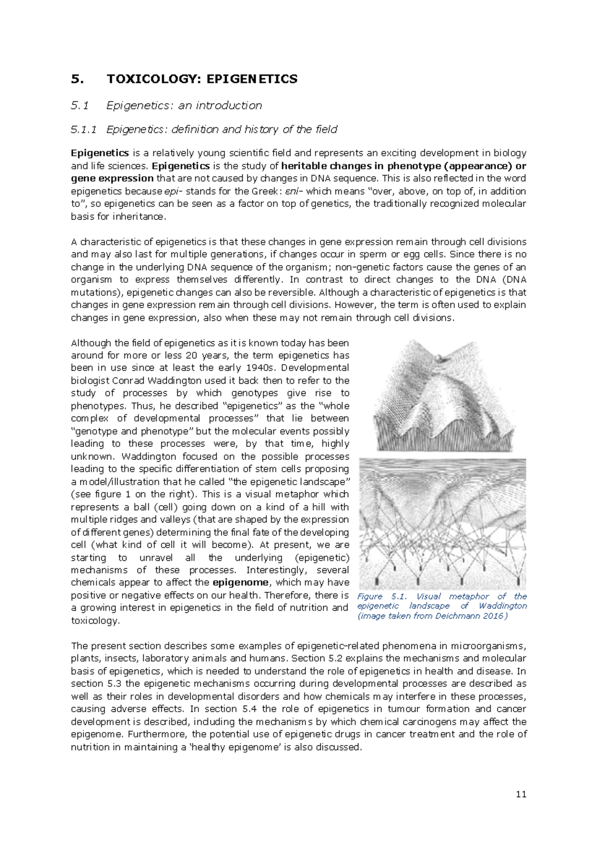 HAP-31806 Toxicology: Understanding Epigenetics and Its Implications ...