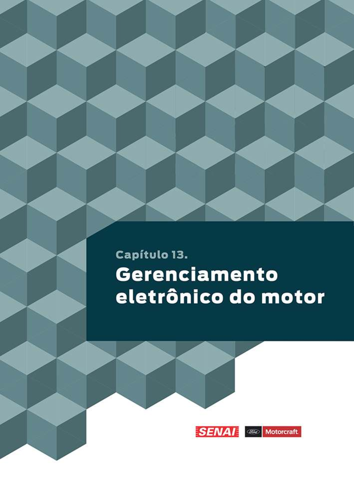 Capítulo 13: Gerenciamento Eletrônico do Motor - Tecnologia Rocam Flex ...
