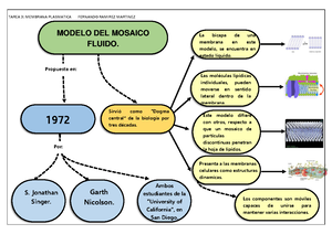 Calorimetria en nutricion , directa e indirecta - NUTRICIÓN 1 DOCENTE ...