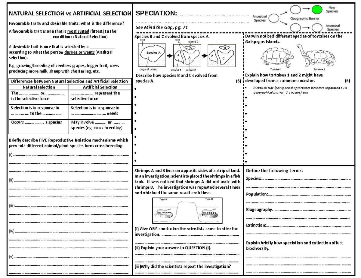 18.1 Evolution ONE Pager 2 of 3 - SPECIATION
