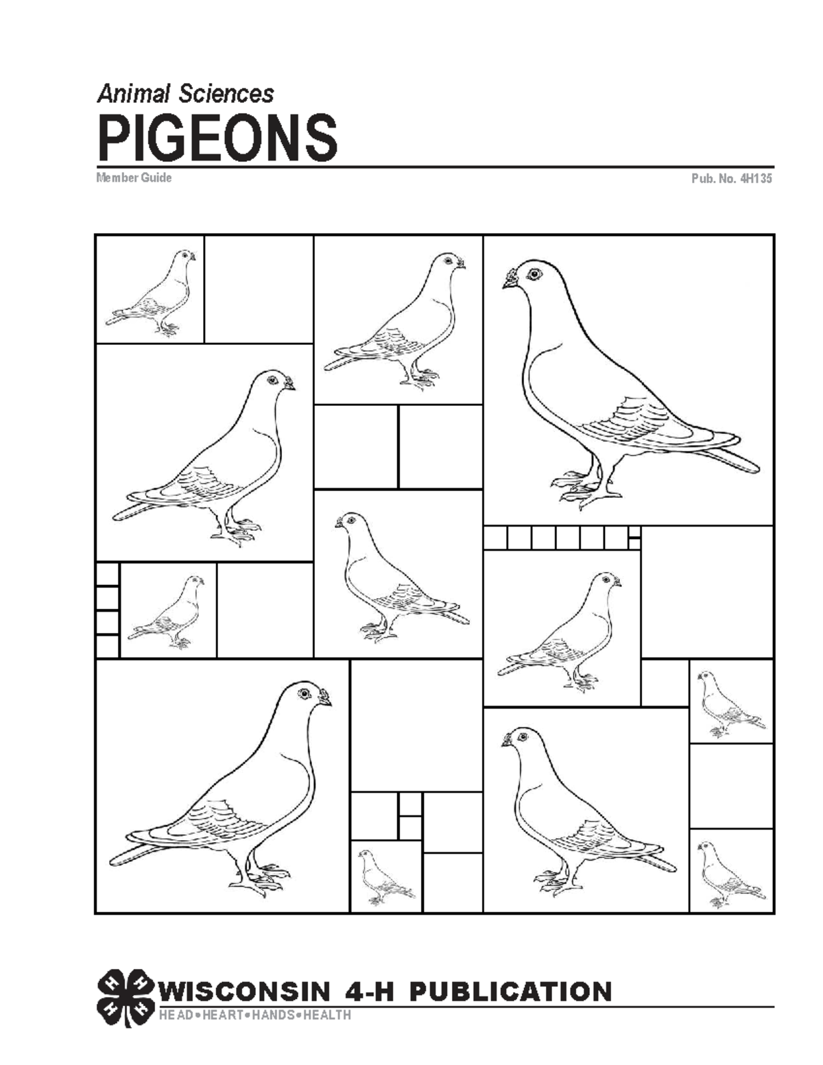 Animal Sciences 4H135: Comprehensive Guide to Pigeons - Studocu