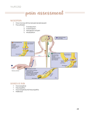 NURS 252 Initial Pain Assessment: Understanding OPQRSTUV Framework ...