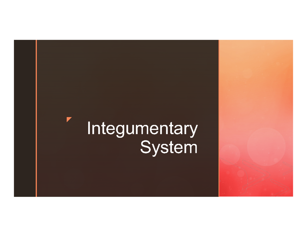 Integumentary System 2023 - Integumentary System Integumentary § This ...