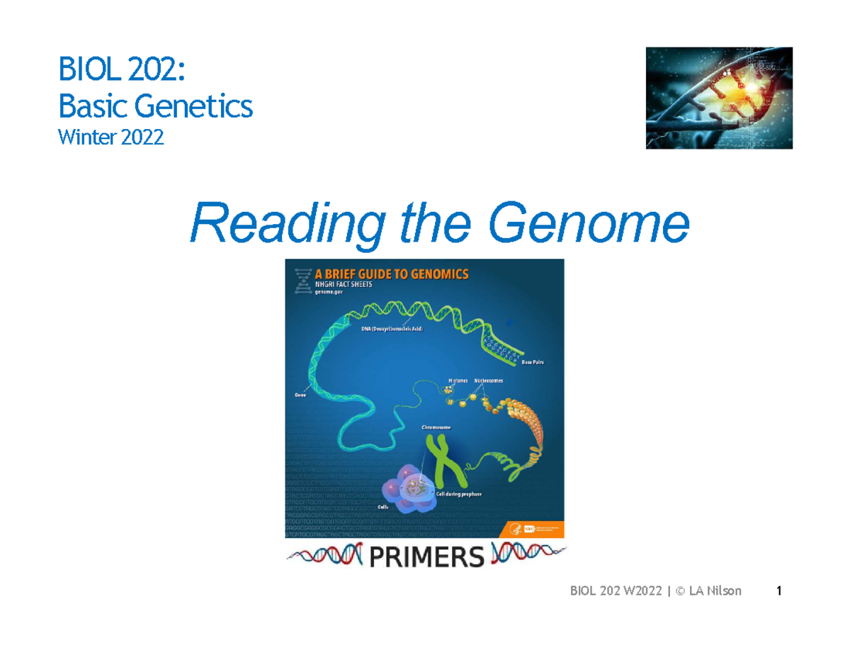 Primer for Module 9 (Genomes and Genomics) - Reading the Genome BIOL ...
