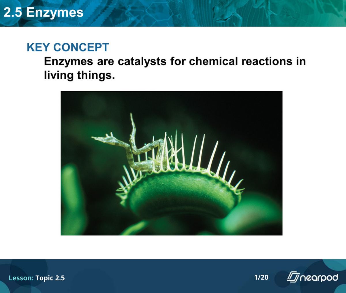 Understanding Catalysts and Enzymes: Topic 2.5 Quiz Notes - Studocu