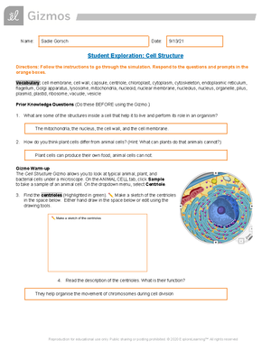 [Solved] The extracellular matrix ECM is an important part - Human ...