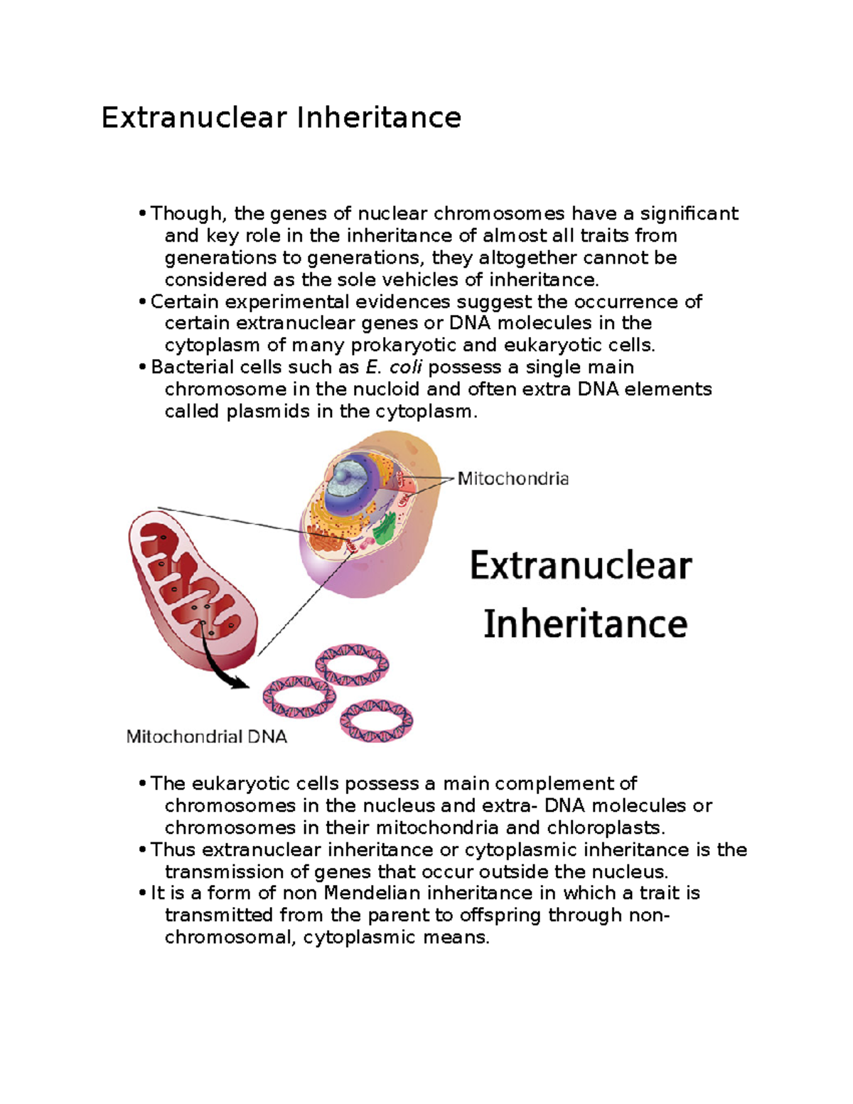 Extranuclear Inheritance: Understanding Organelle DNA Roles - Studocu