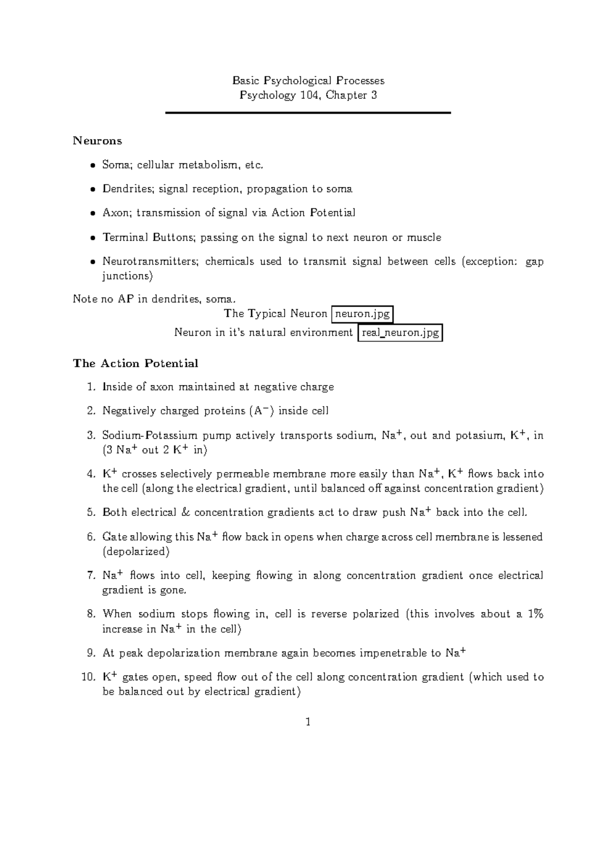 Psychology 104: Chapter 3 - Neurons and Synaptic Transmission Notes ...