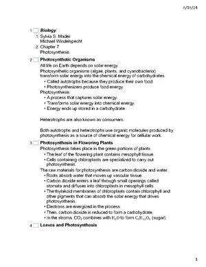 Lab 7: Plant Photosynthesis - Student Name Natalie Grady Student ID ...