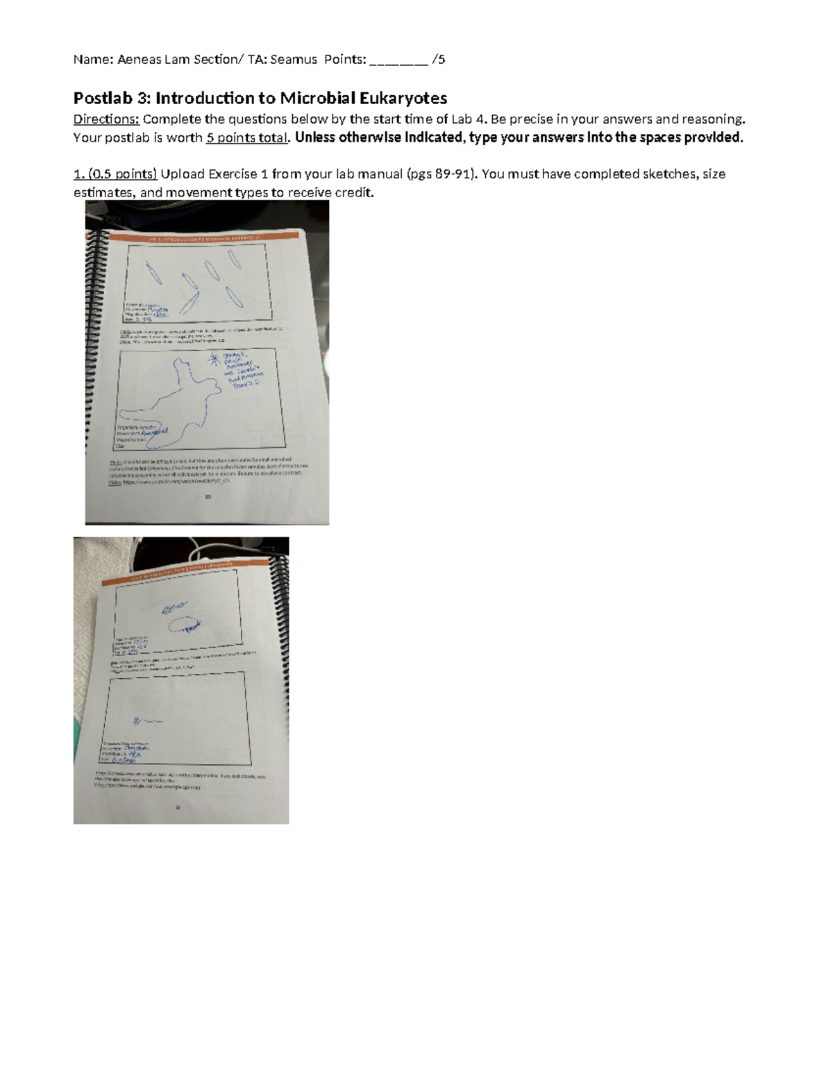 Postlab 3: Exploring Microbial Eukaryotes in BIS 2c Lab - Studocu