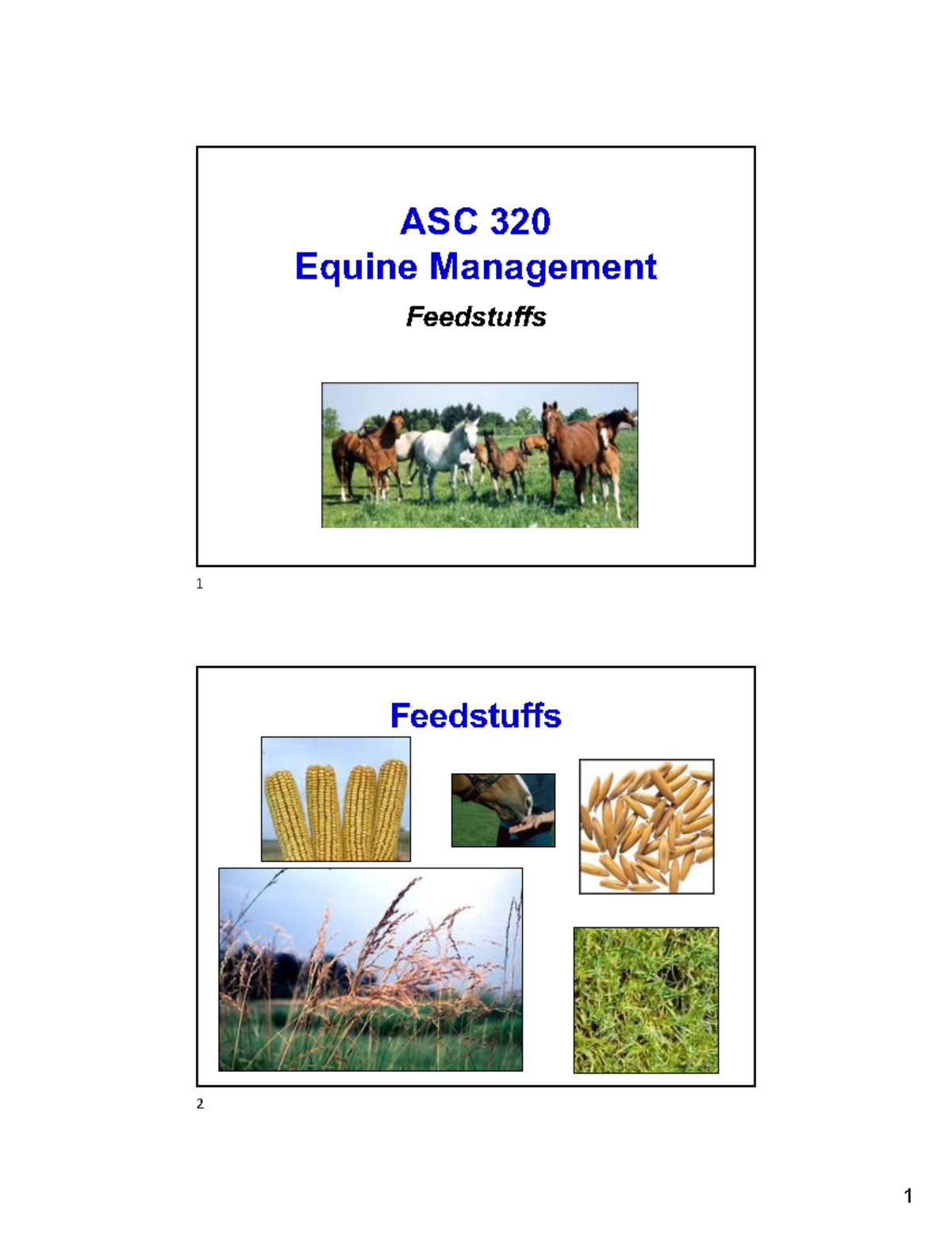 ASC 320 Equine Management: Comprehensive Guide to Feedstuffs and ...